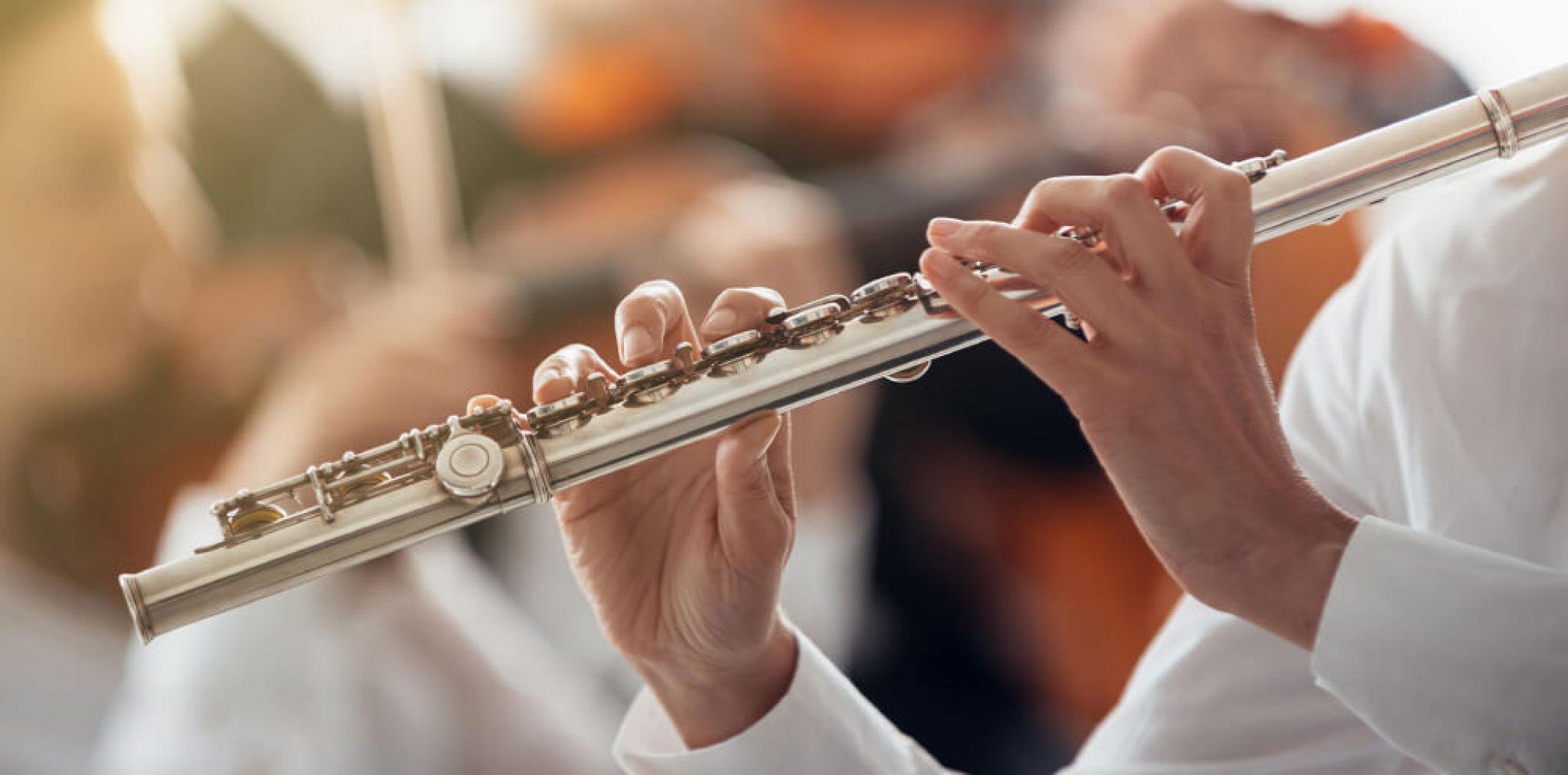 Příčné flétny + Jak vybrat? AKTUALIZOVÁNO - Recenzer.cz