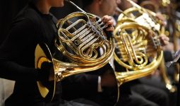 Lesní rohy + Jak vybrat? AKTUALIZOVÁNO - Recenzer.cz