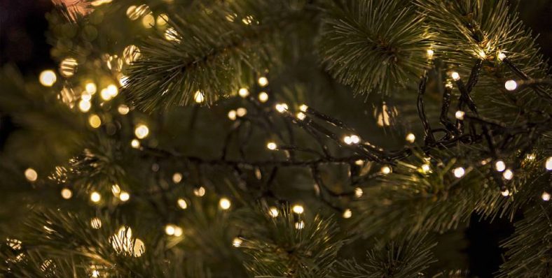 Vánoční osvětlení + Jak vybrat? AKTUALIZOVÁNO