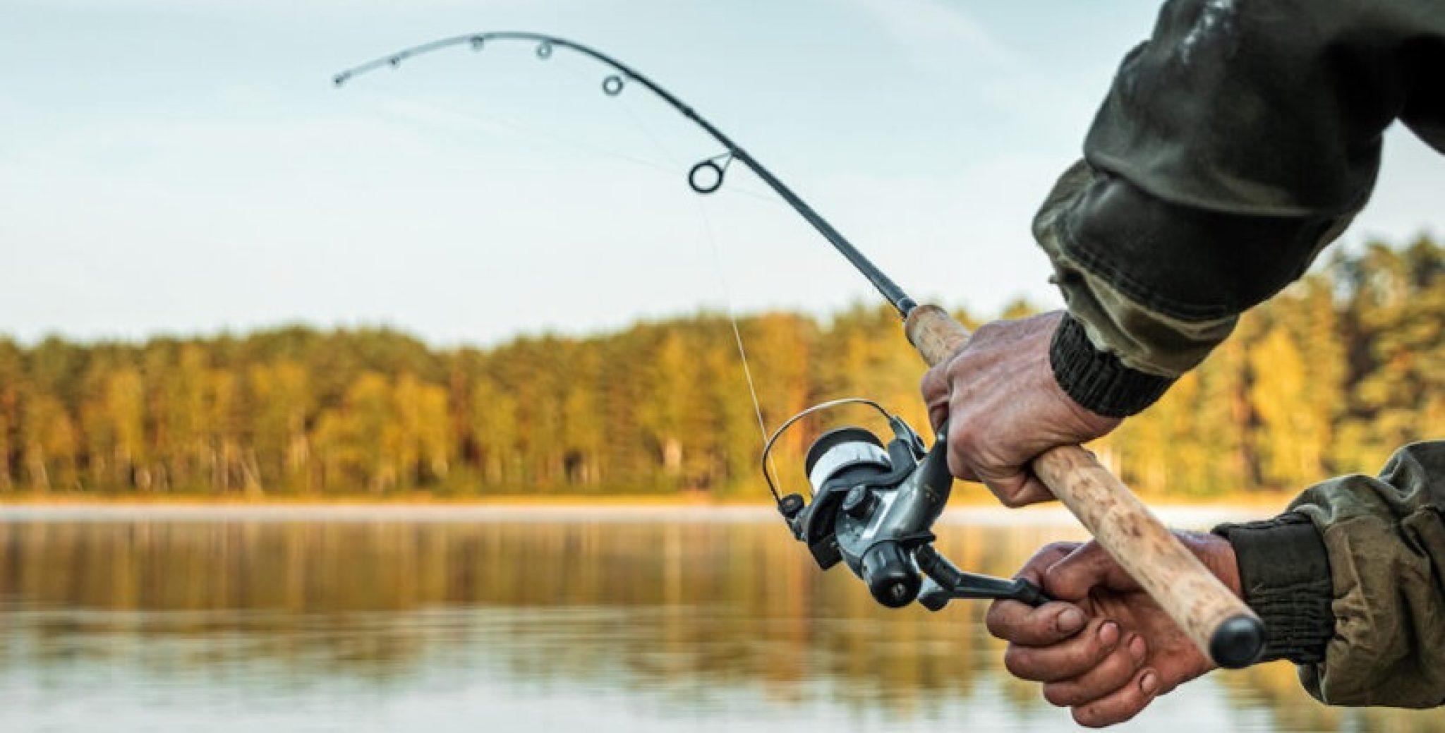 Jak vybrat rybářský prut? Co vědět před nákupem