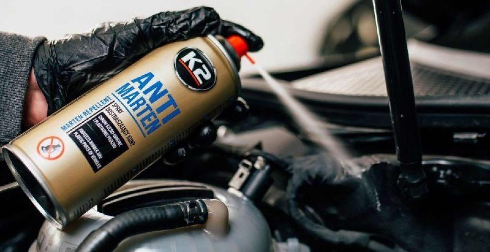 Spreje proti kunám + Jak vybrat? AKTUALIZOVÁNO