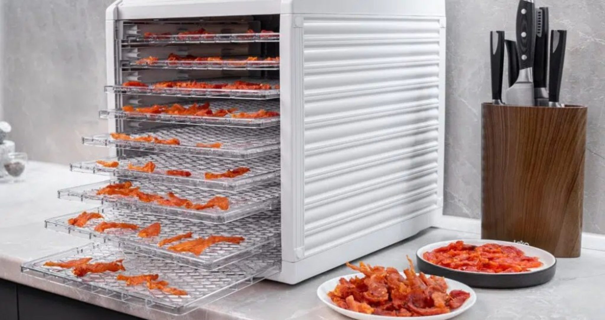 Jak vybrat sušičku na maso? Co vědět před nákupem