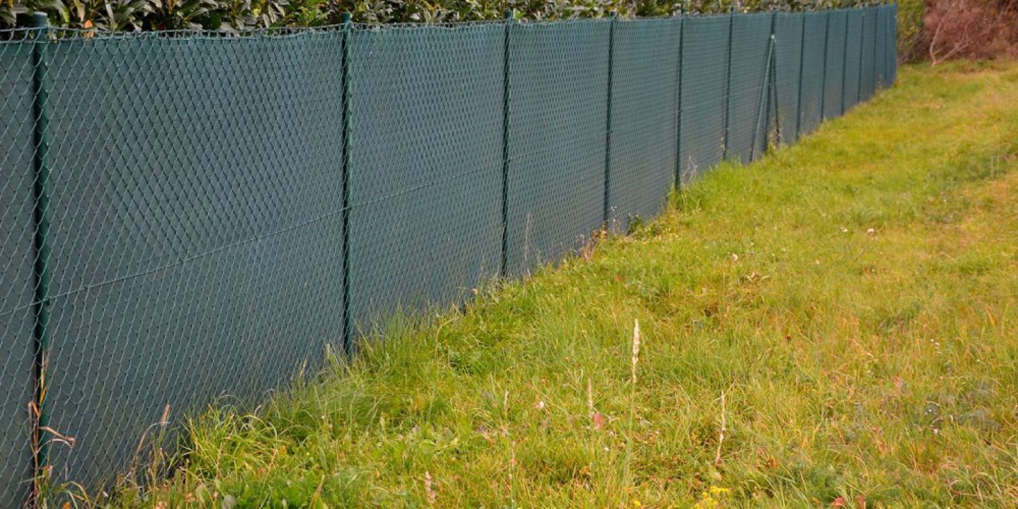 Clony na plot + Jak vybrat? AKTUALIZOVÁNO